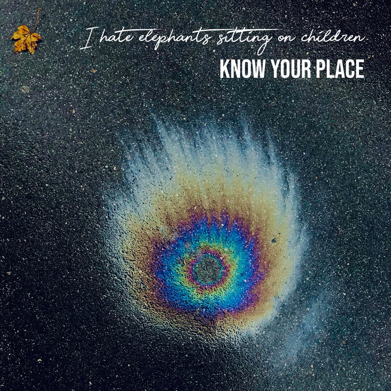Stream Know Your Place by I Hate Elephants Sitting on Children!